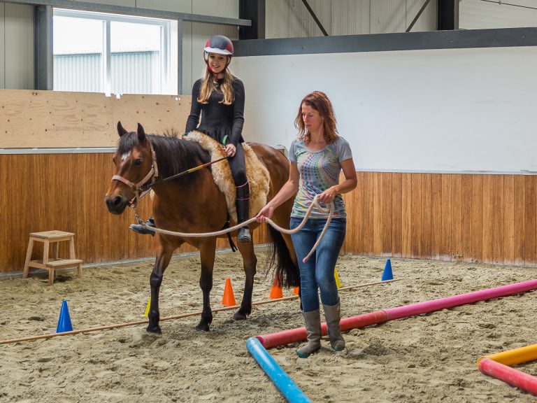 Over ons (origineel) - EquiDo